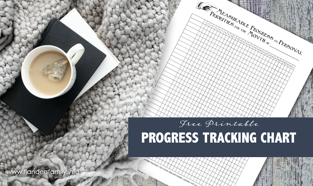 Tracking Progress on Daily Goals - Flanders Family Home Life