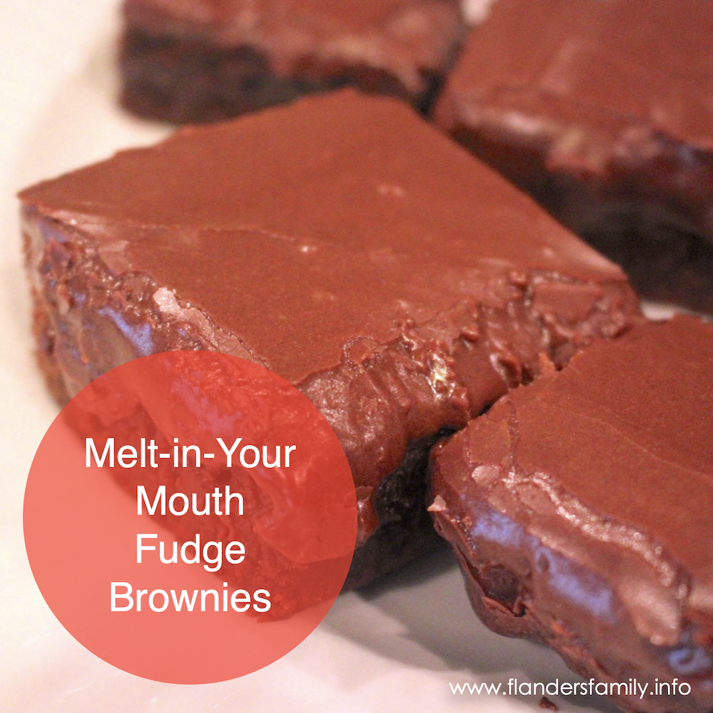 Melt-in-your-Mouth Fudge Brownies - Flanders Family Home Life