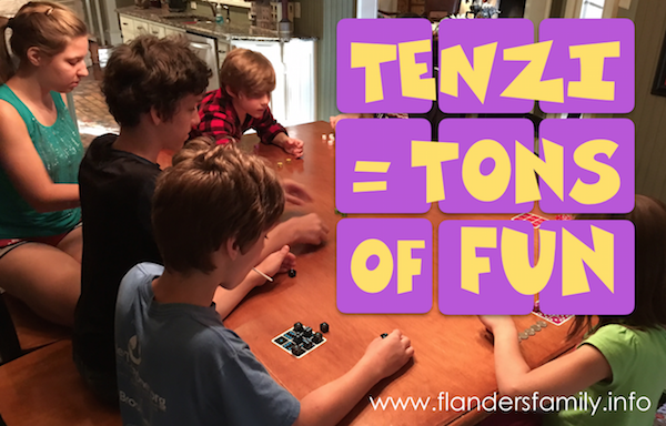 We Think TENZI's Tons of Funzi (Review) - Flanders Family Homelife
