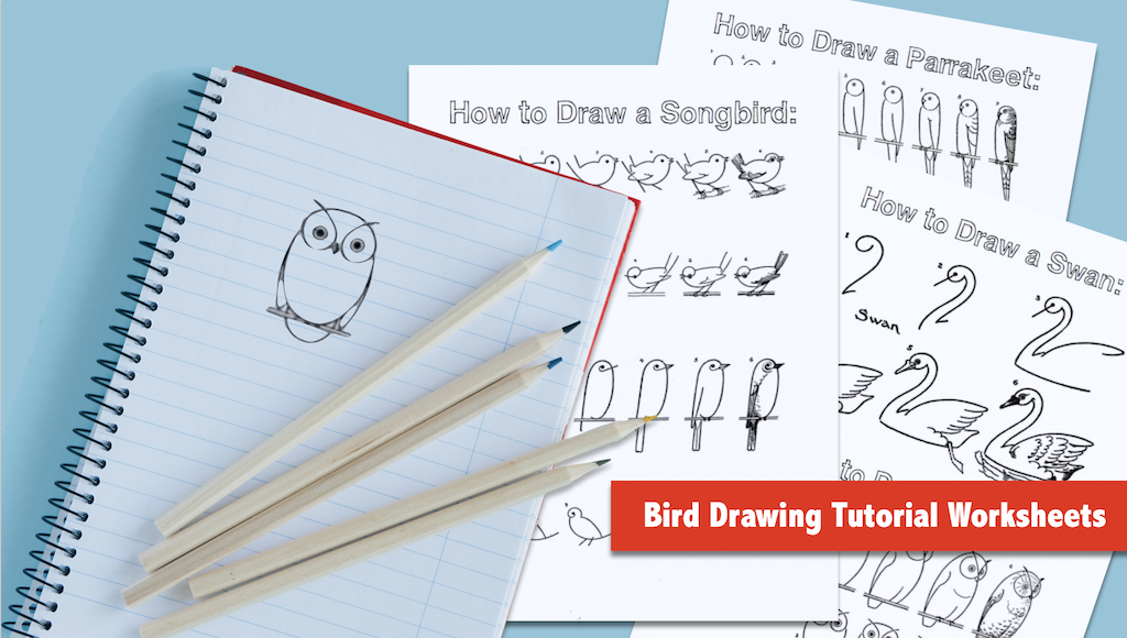 Birds to Draw, Color, Feed, and Photograph - Flanders Family Homelife