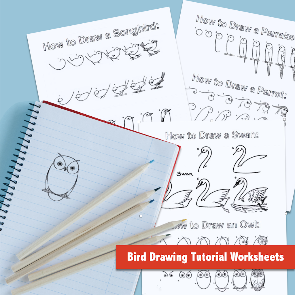 Birds to Draw, Color, Feed, and Photograph - Flanders Family Home Life