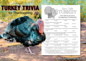 Let's Talk Turkey Trivia Test - Flanders Family Home Life