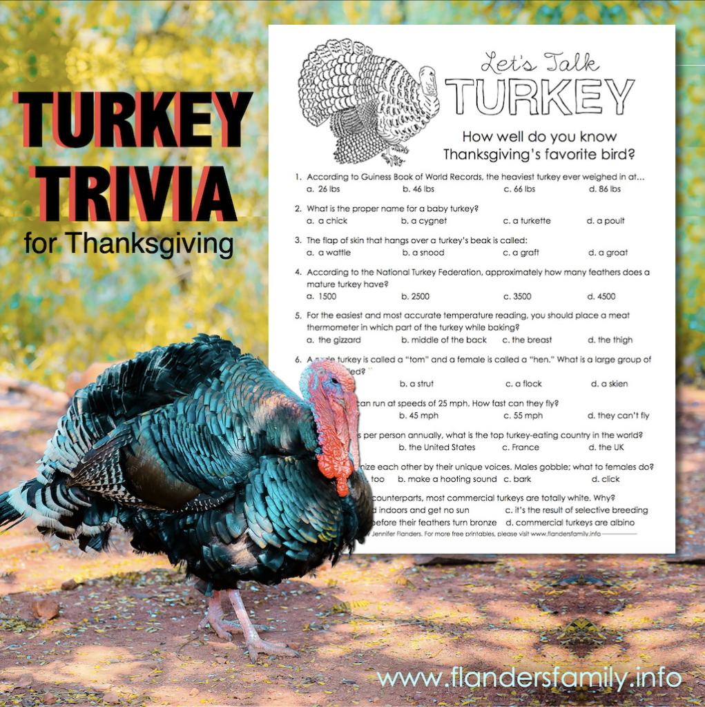 Let's Talk Turkey Trivia Test - Flanders Family Home Life