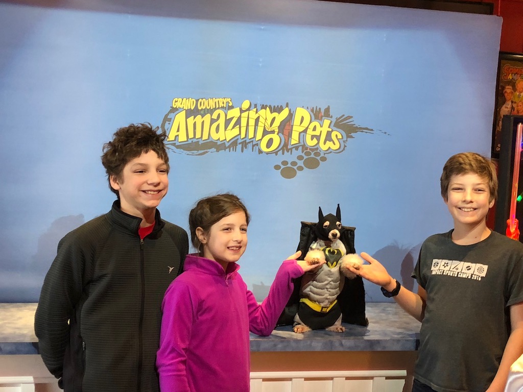 Amazing Pets Show: Fun Family Entertainment - Flanders Family Homelife