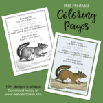 Happy Squirrel Appreciation Day (Free Coloring Page) - Flanders Family ...