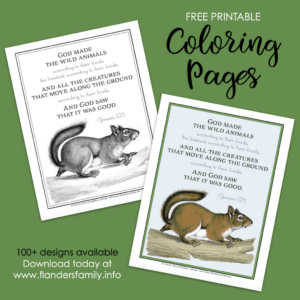 Happy Squirrel Appreciation Day (Free Coloring Page) - Flanders Family ...