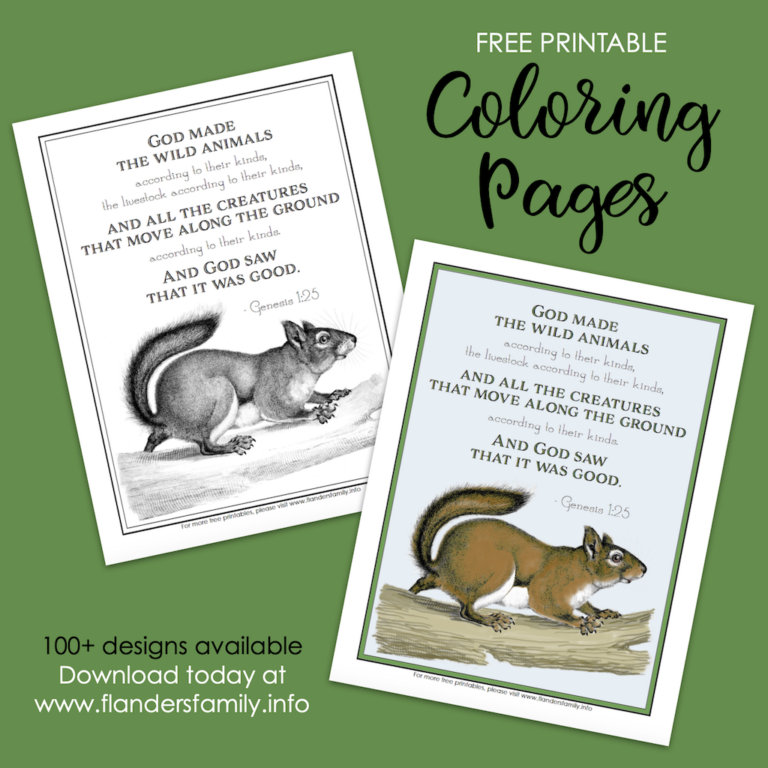 Happy Squirrel Appreciation Day (Free Coloring Page) - Flanders Family ...