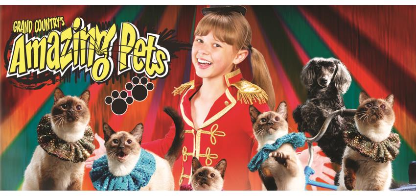 Amazing Pets Show: Fun Family Entertainment - Flanders Family Homelife