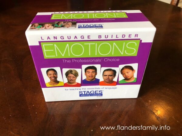 Training Your Child's Emotional Intelligence - Flanders Family Homelife