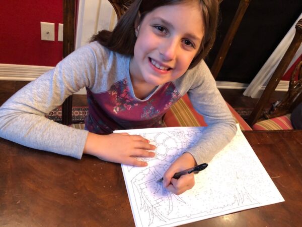 Timberdoodle 3rd Grade Curriculum: Math - Flanders Family Homelife