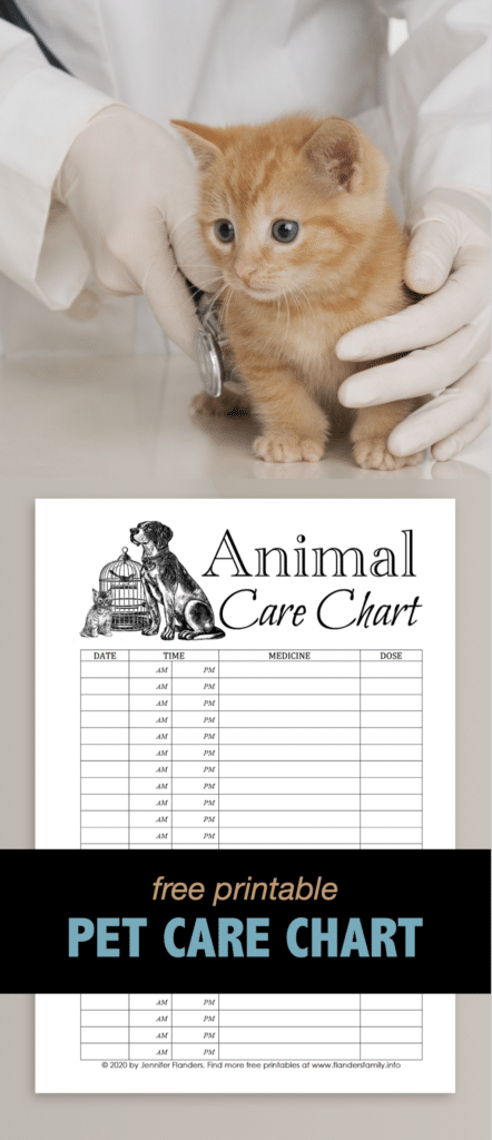 Animal Care Chart (Free Printable) - Flanders Family Homelife