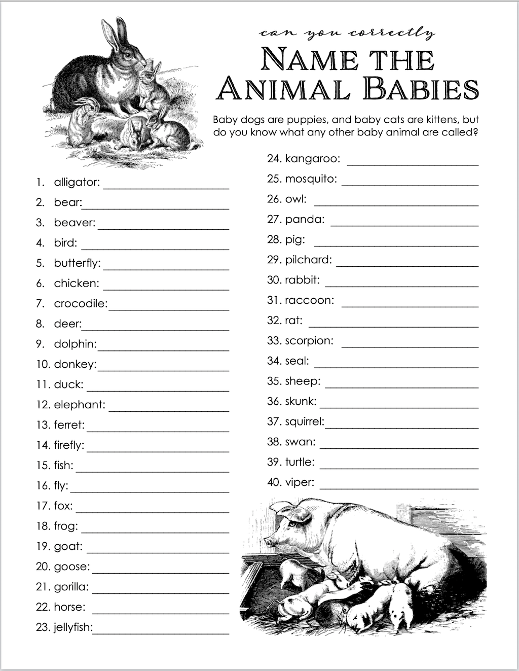 Animal Baby Name Games Flanders Family Home Life
