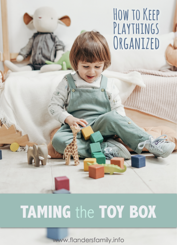 Taming the Toy Box: Organization Tips - Flanders Family Home Life