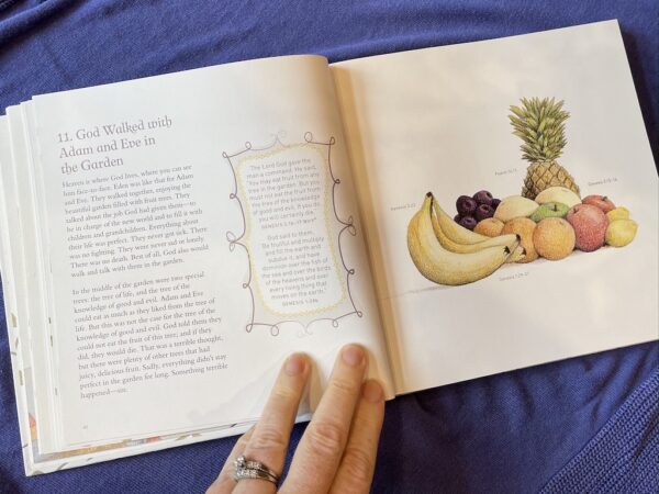 The Ology by Marty Machowski - Flanders Family Home Life