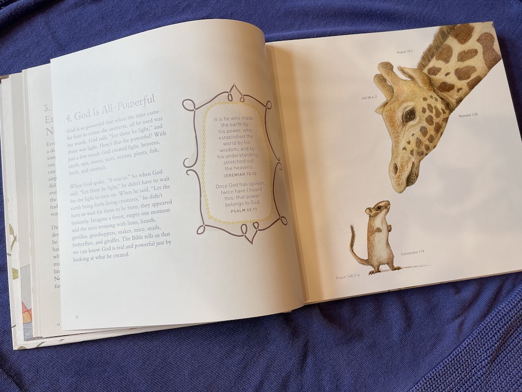 The Ology by Marty Machowski - Flanders Family Home Life