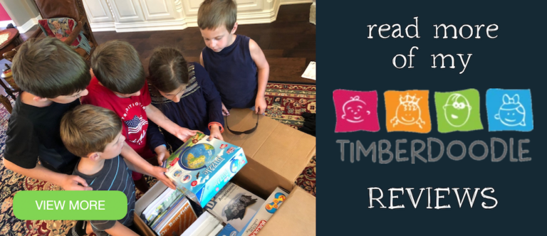 TwoStick Shadows Art Kit (Timberdoodle Review) - Flanders Family Home Life