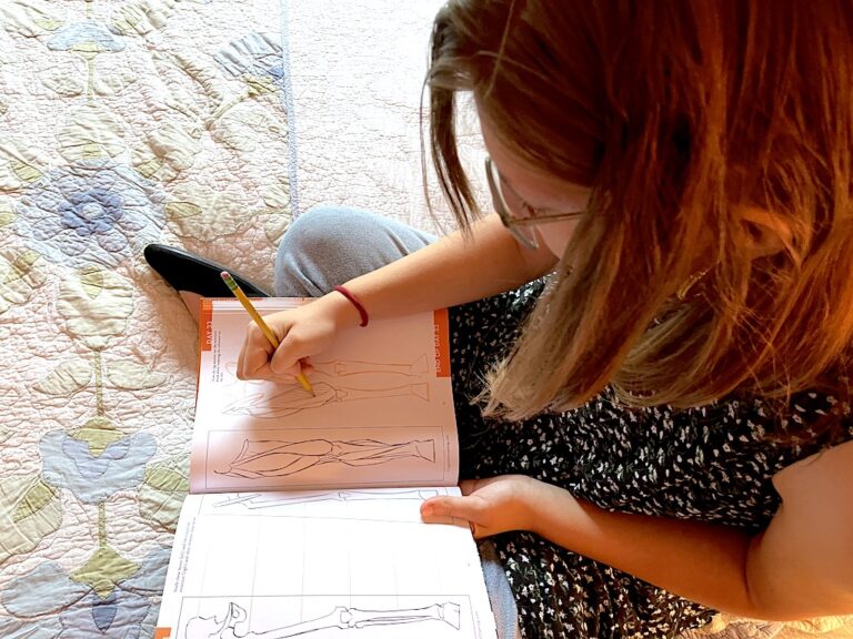 Cognitive Drawing (Timberdoodle Review) - Flanders Family Homelife