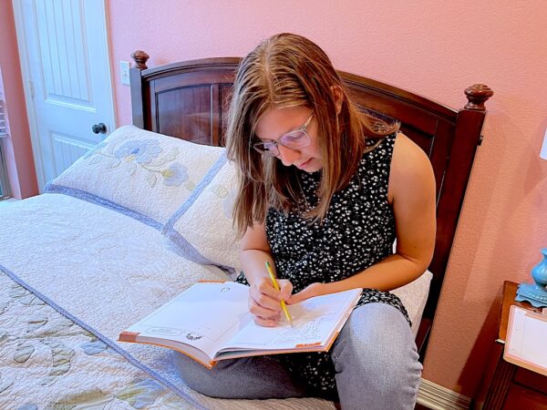Cognitive Drawing (Timberdoodle Review) - Flanders Family Homelife
