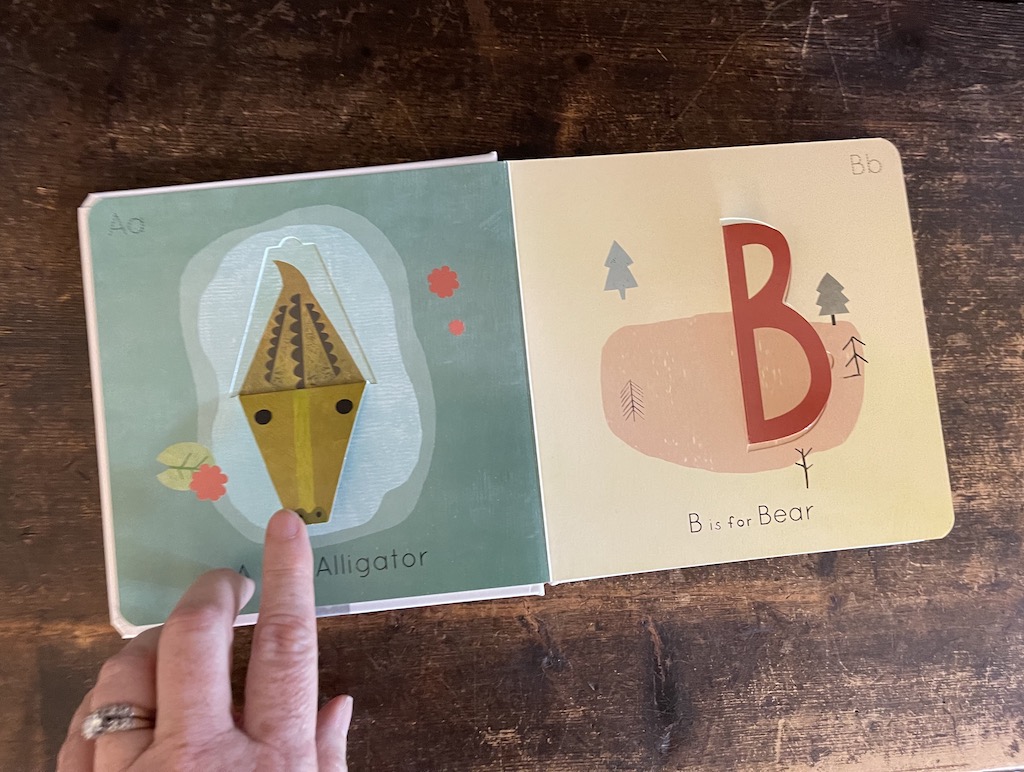 A-to-Z Animal Board Book - Flanders Family Home Life