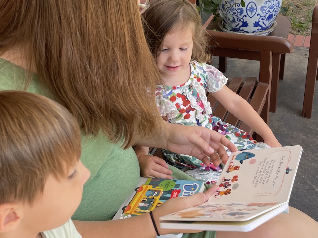 Ditty Bird Board Book Collection - Flanders Family Home Life