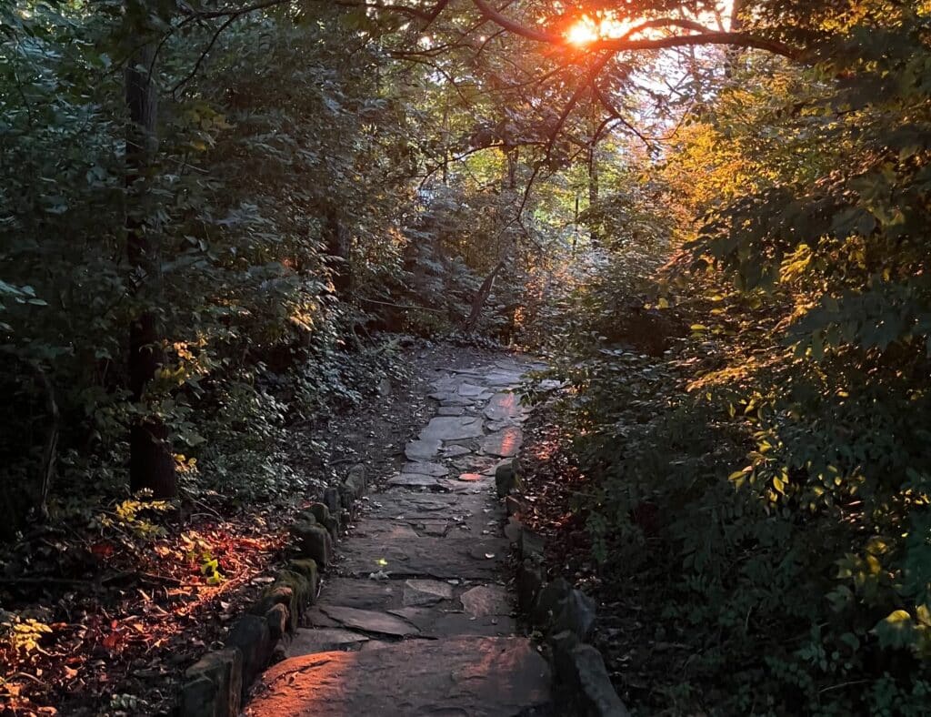 Summit Student Conferences: Our Family's Experience - Flanders Family ...