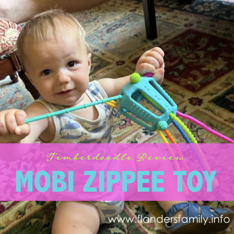 Mobi Zippee Toy Review - Flanders Family Home Life