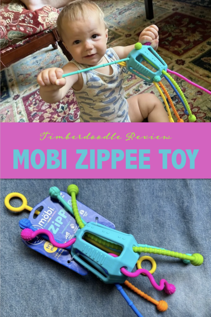 Mobi Zippee Toy Review - Flanders Family Home Life